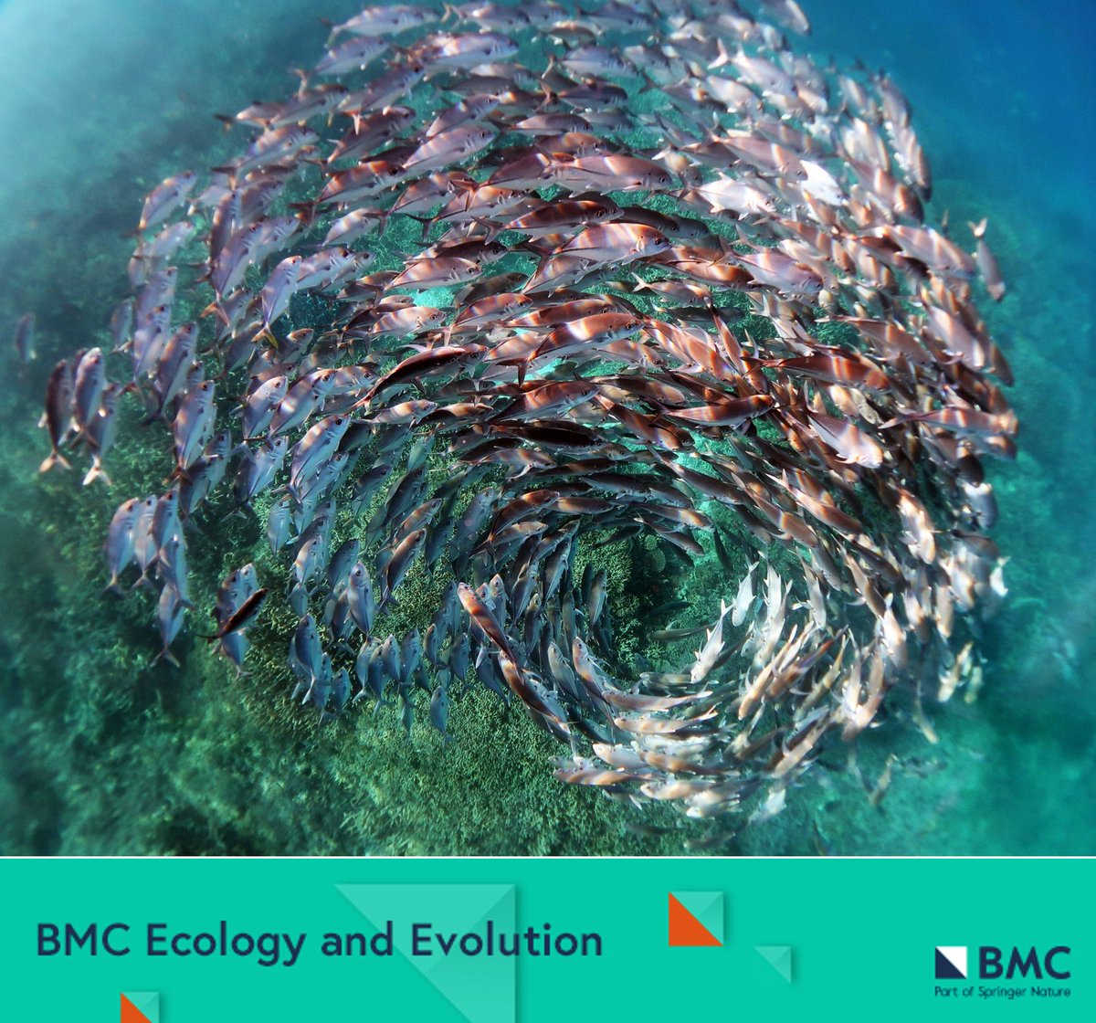 Rupam Goswami (@Rupam_Goswami) | Twitter