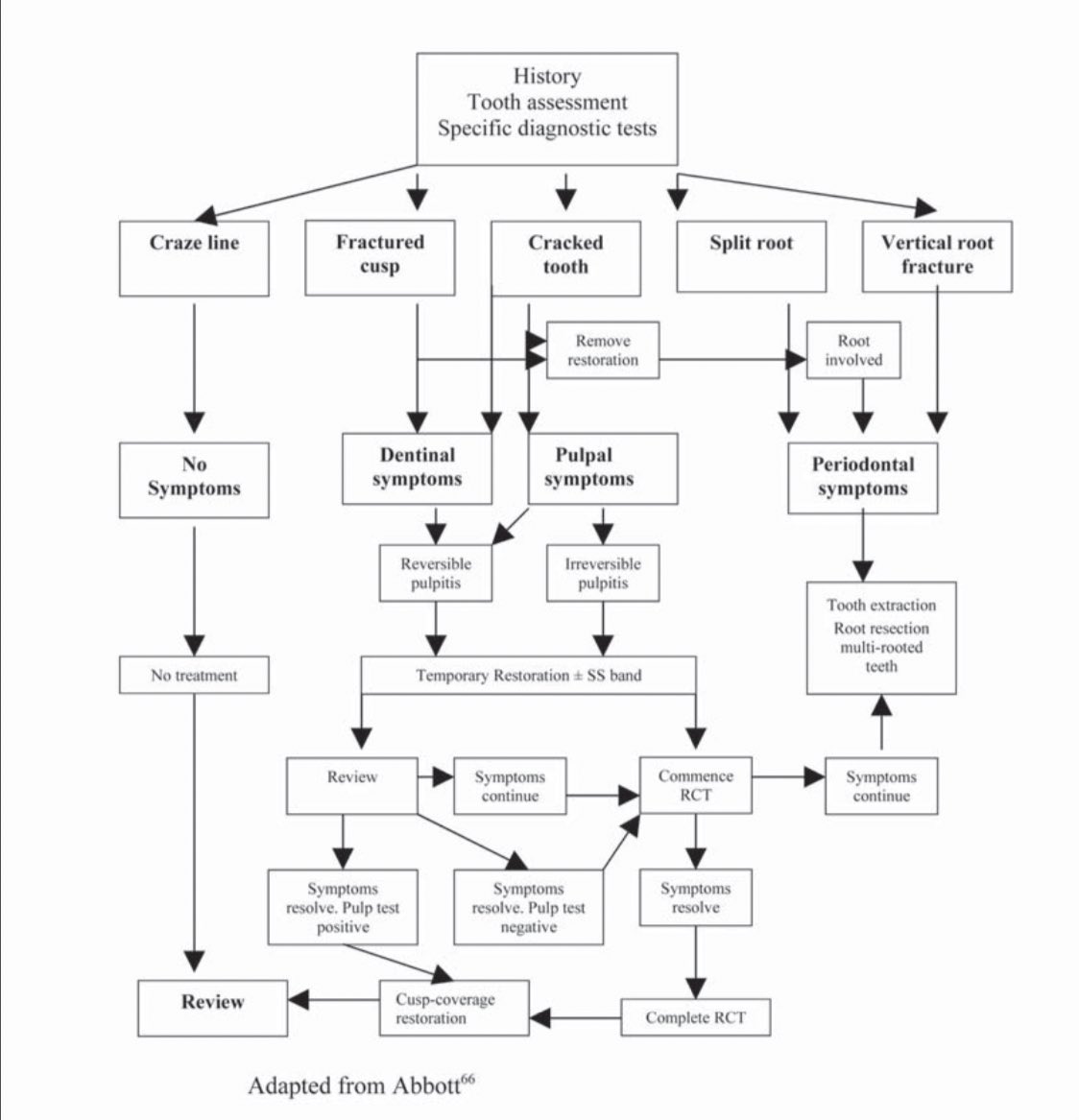 Tooth Fracture Classification