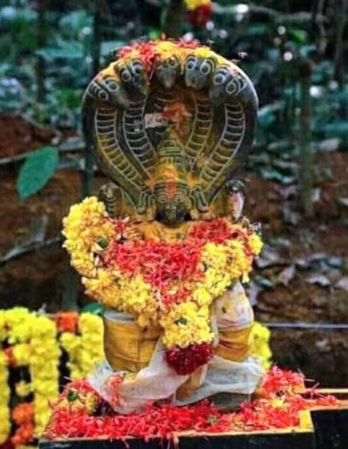 🕉 #NagPanchami Today,falls On Shukla PakshaPanchami day of Shravana ...