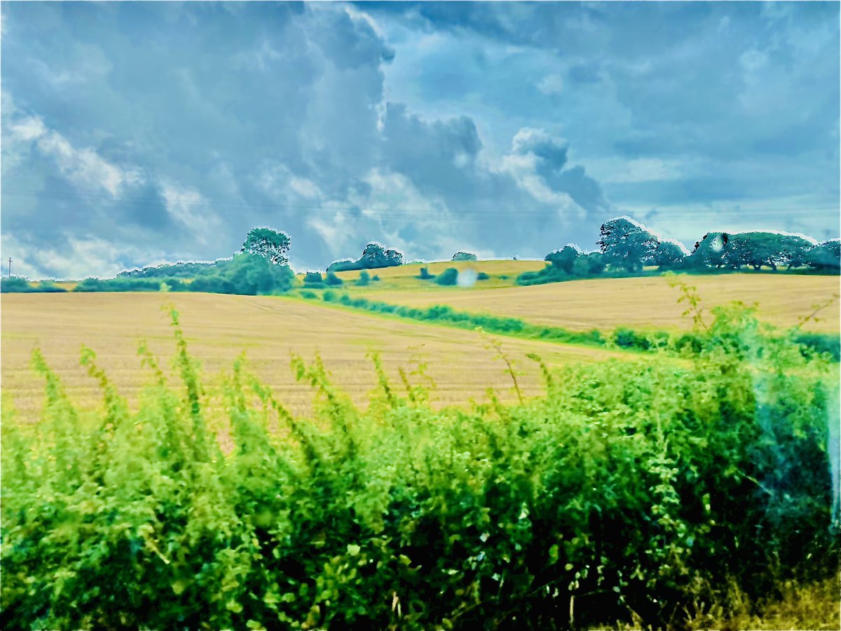 Shanna Blaze @Missus_Blaze X Profile | Muskviewer