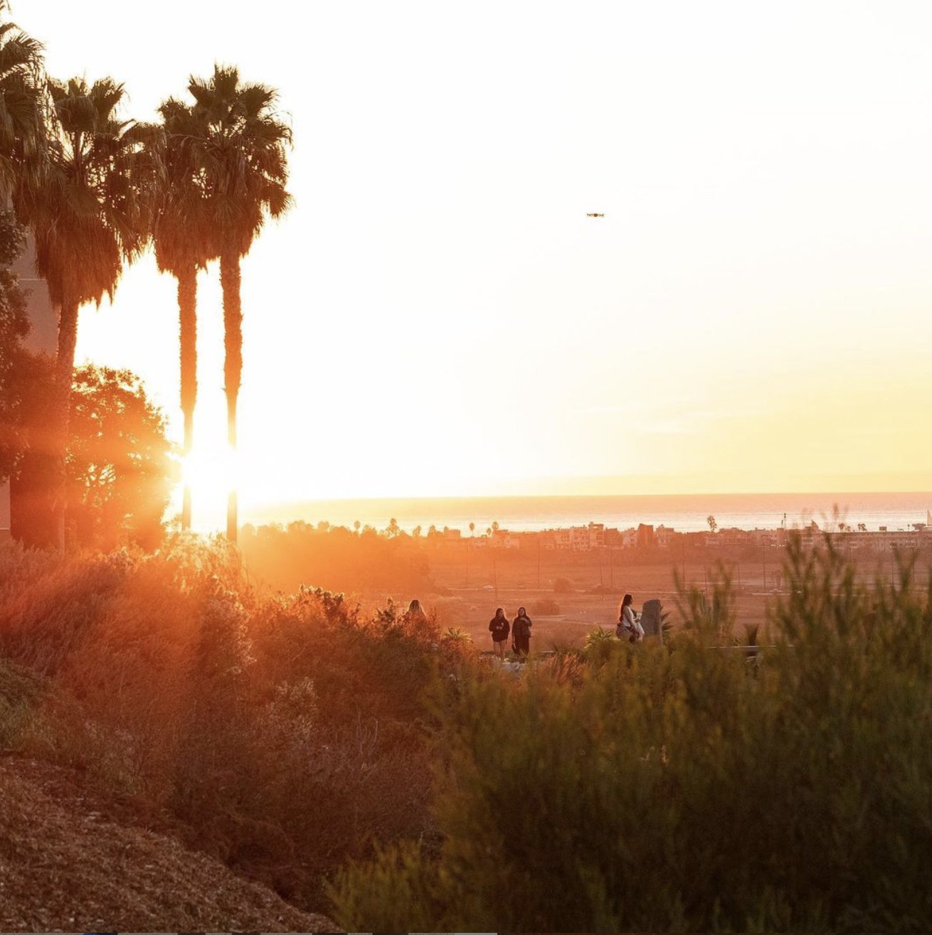 Loyola Marymount University Bluff