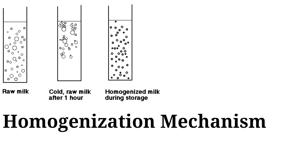 Homogenization : A look and feel aesthetics of pasteurised milk -Know ...