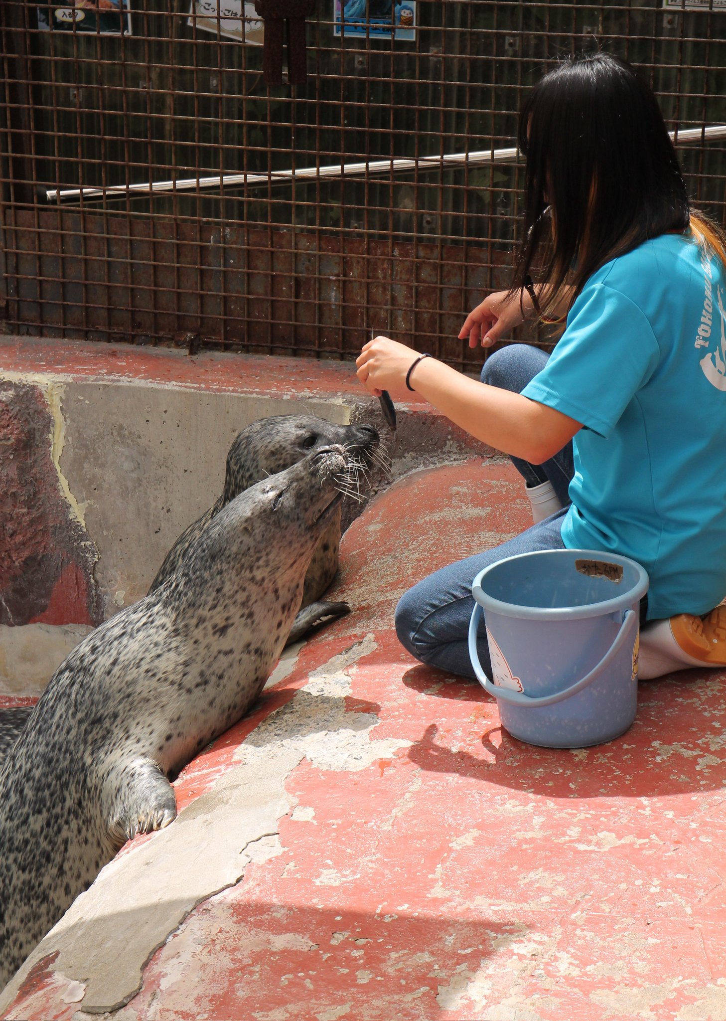 Odoroki_Yakiika on Twitter: