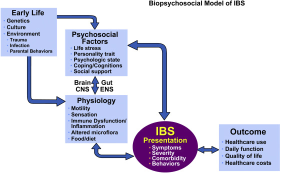 Stumped by how to manage tough cases of #IBS? In this 🧵, I'll summarize ...