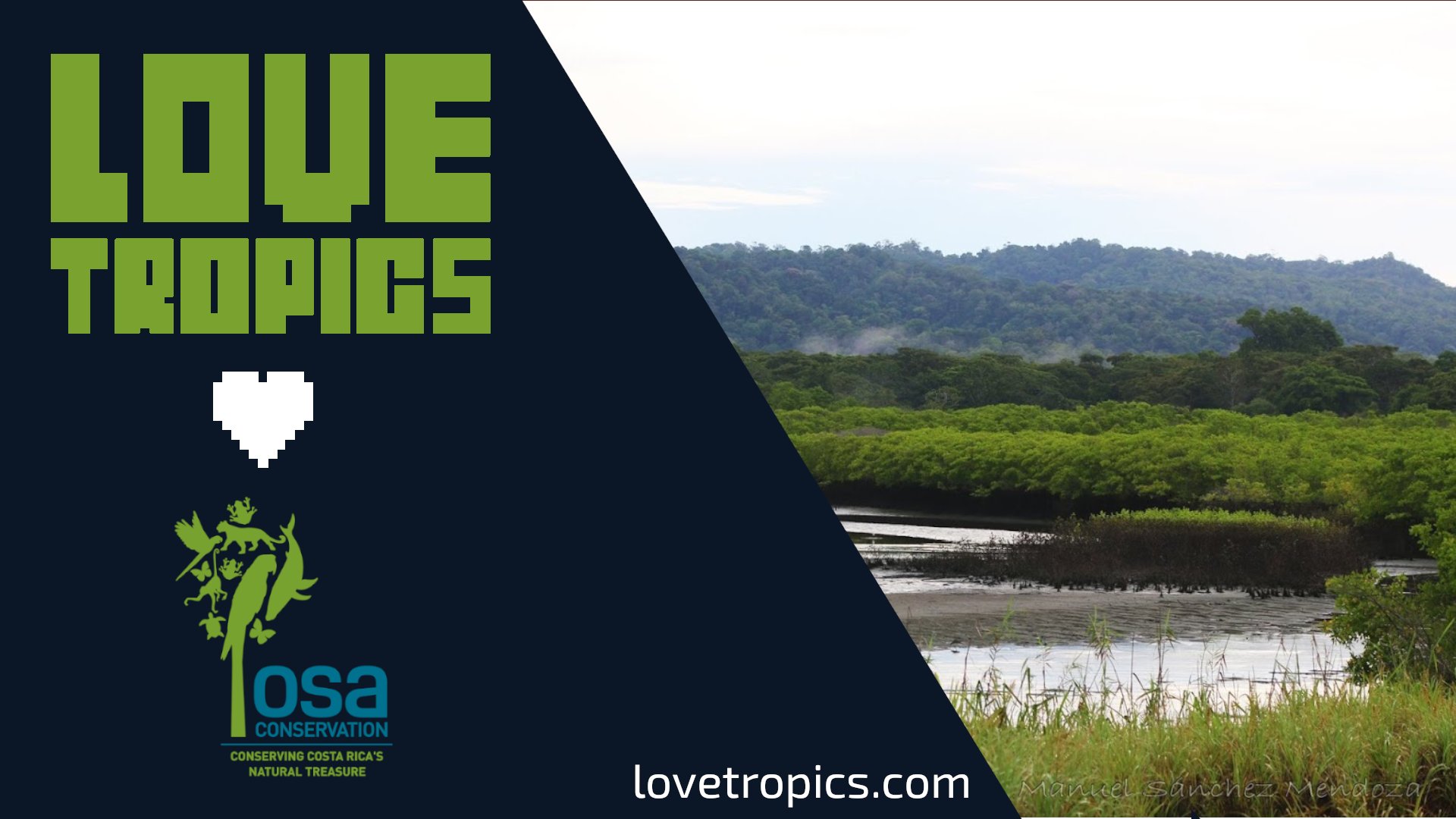 Love Tropics on Twitter: "🎉Event Announcement!🎉 Love Tropics '21 will be happening Nov 5-7, 2021 ...