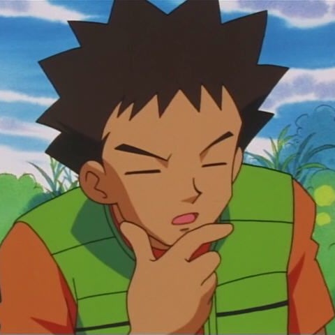 Funny Pokemon Brock Memes