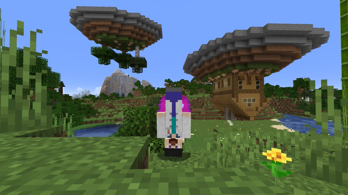 Dinnerbone Minecraft