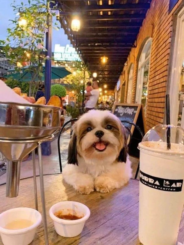 Karol Kianda (@kiandakarol) | Twitter