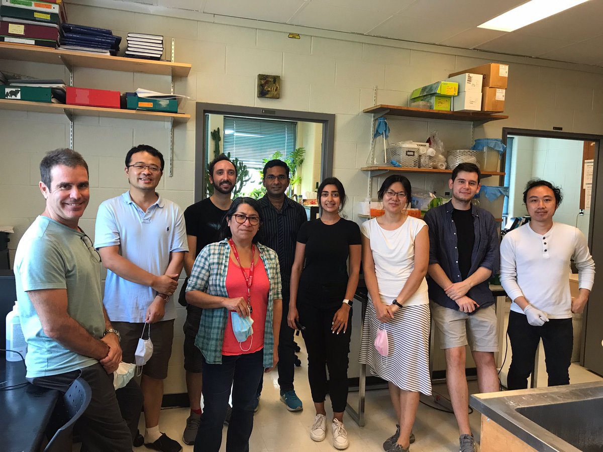 New Alberto Site – Alberto Martin Lab