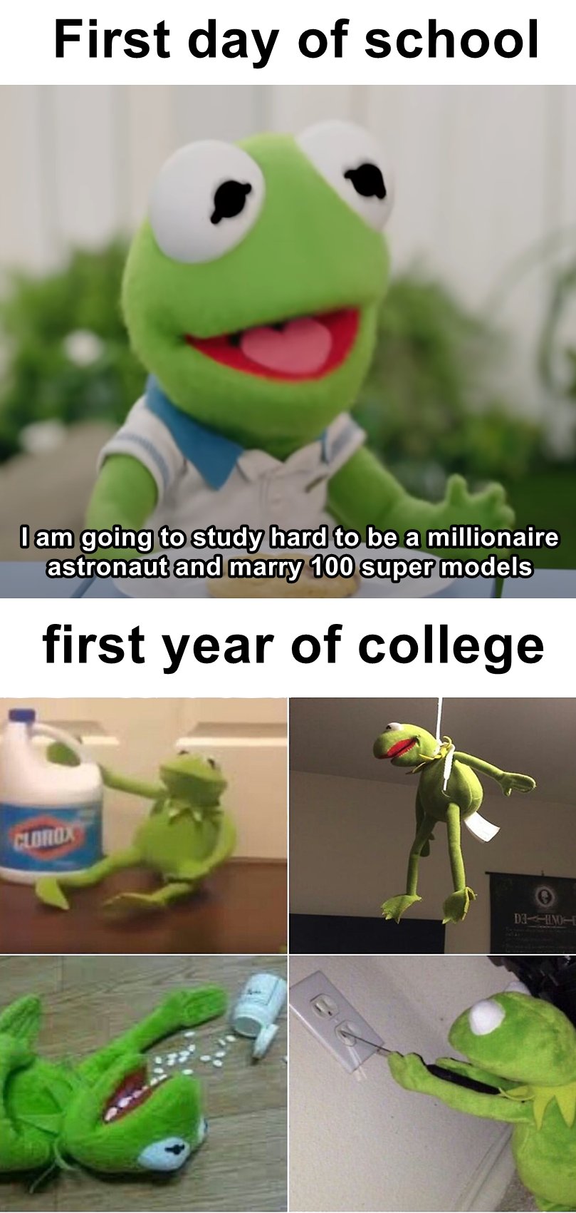 First Kermit Memes