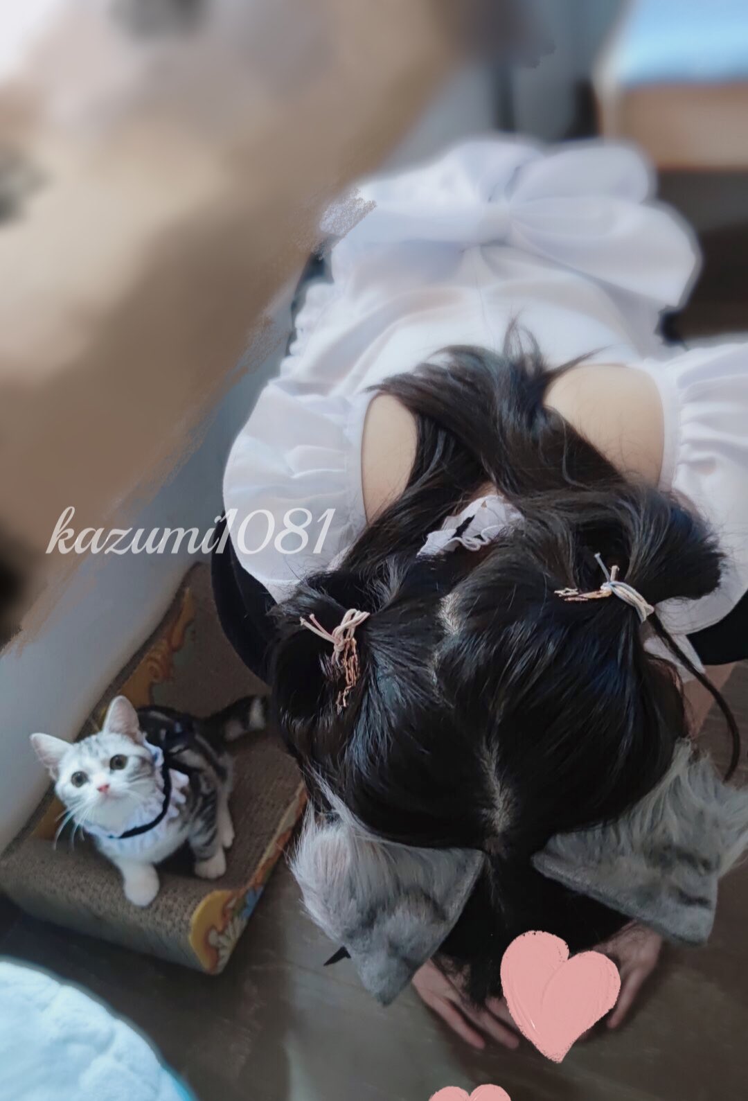 你是不是以为我很菜 On Twitter 今天是女仆猫猫和女仆狗狗。´∀`ノ 主人猫狗双全! H7iu551uhv Twitter