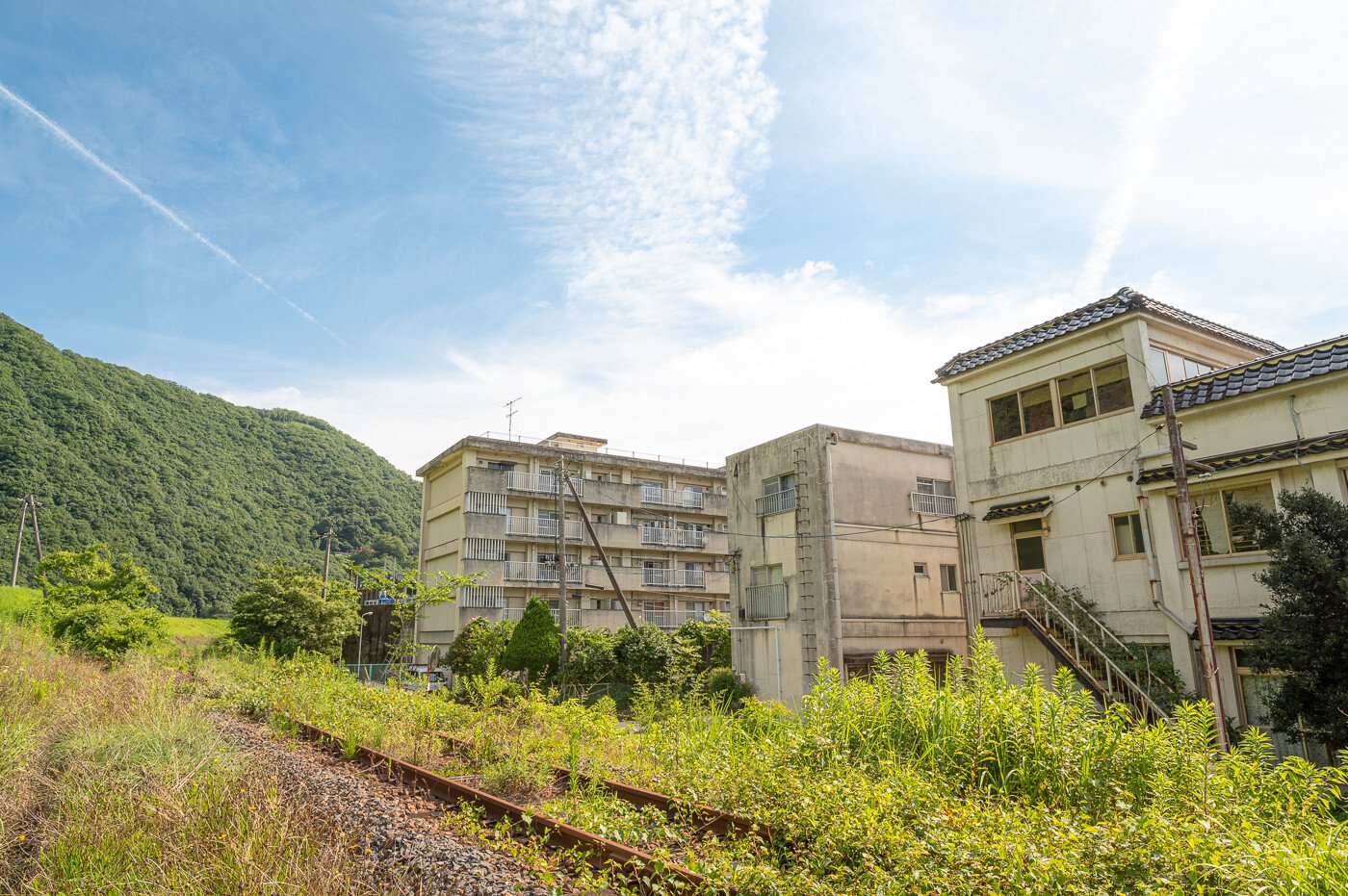 dokubutu on Twitter: "ｸｻﾑｽ ｾﾝﾛｽｷｰ https://t.co/Y7v1WaCLQ3" / Twitter