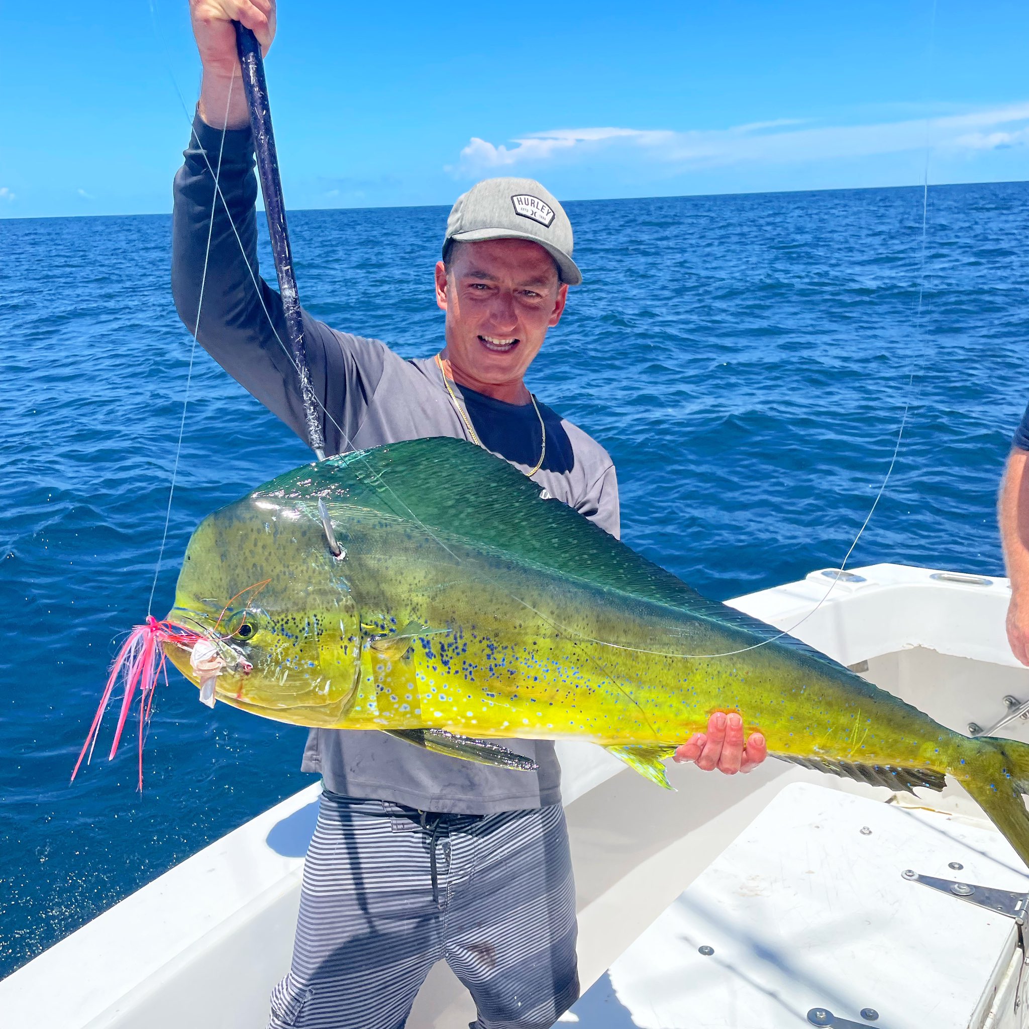 Huge Mahi Mahi