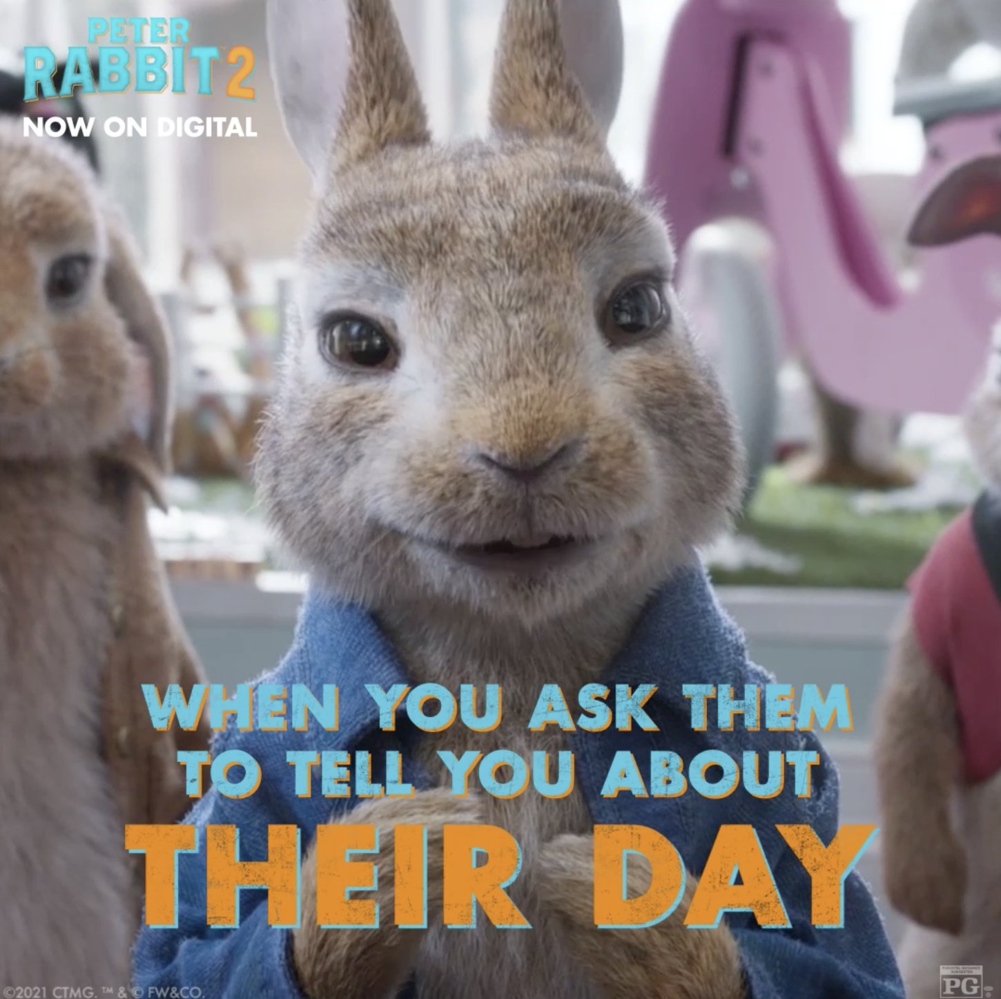 Peter Rabbit Memes Peter Rabbit 10 Minutes Funny Scenes Compilation