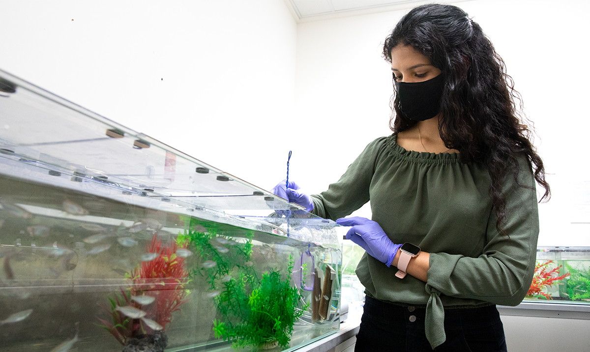 WARF - Wisconsin Alumni Research Foundation