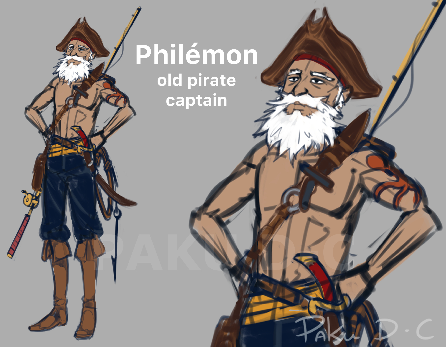 Pirate Captain Concept Art