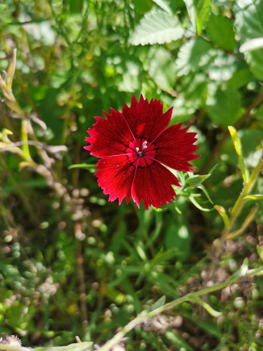 Zichen Yu （有关必回） (@ZichenYu2) | Twitter