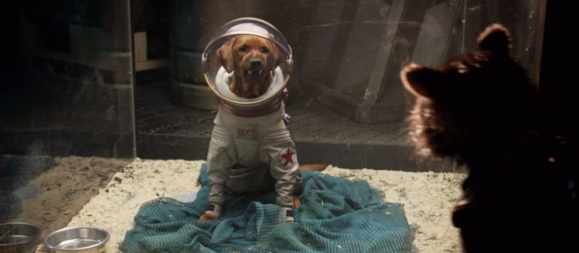 6 Coolest Pets And Animals In the MCU That We All Love For Their Cuteness