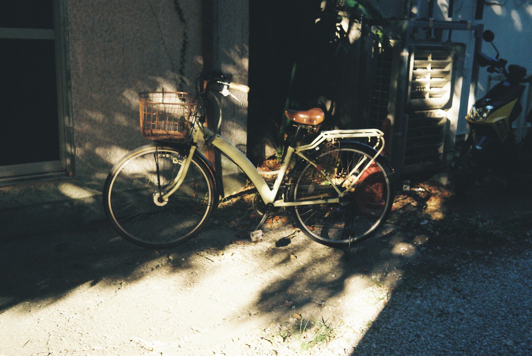 Rinco Koyama on Twitter: "film.…