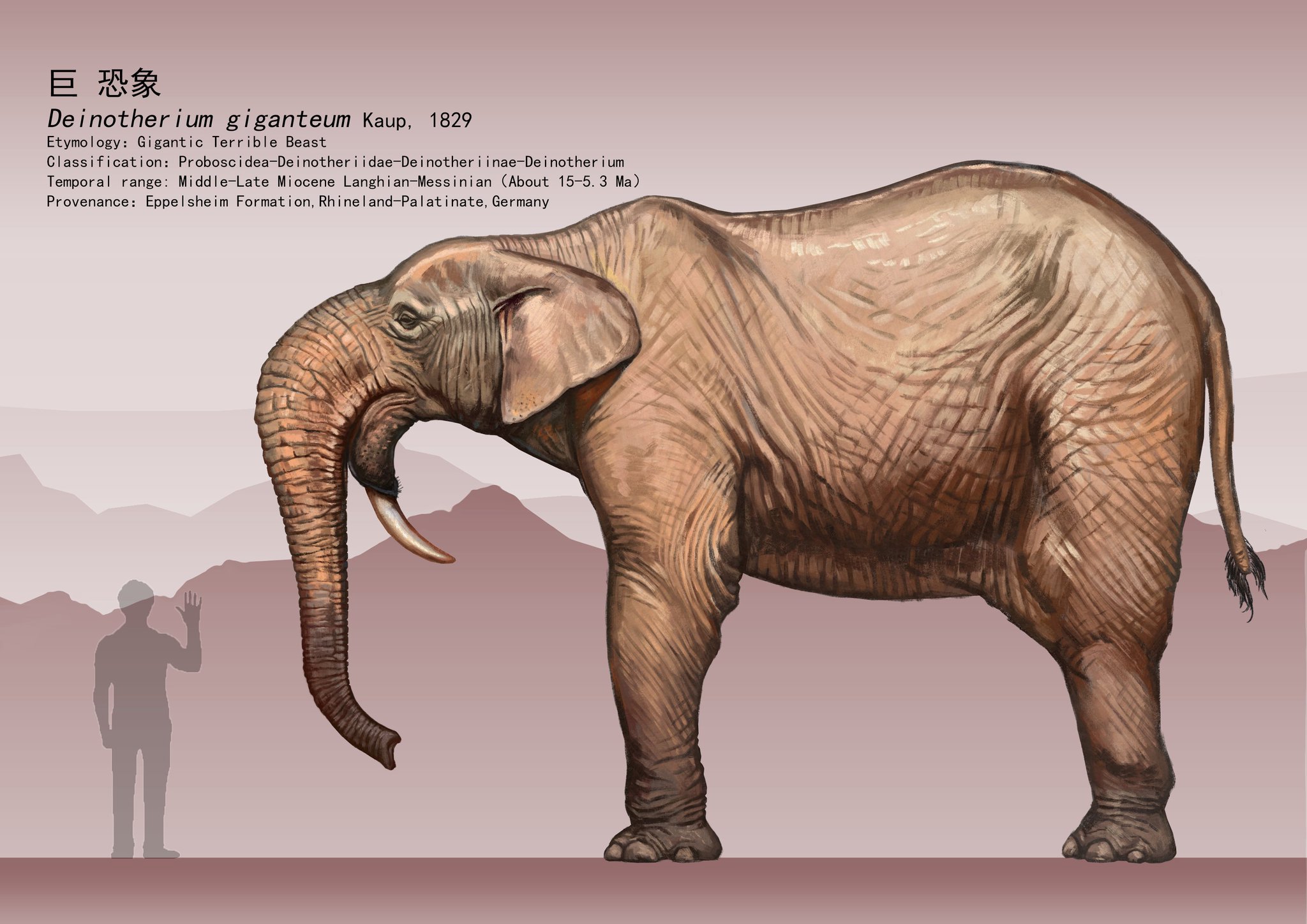 Deinotherium Bozasi