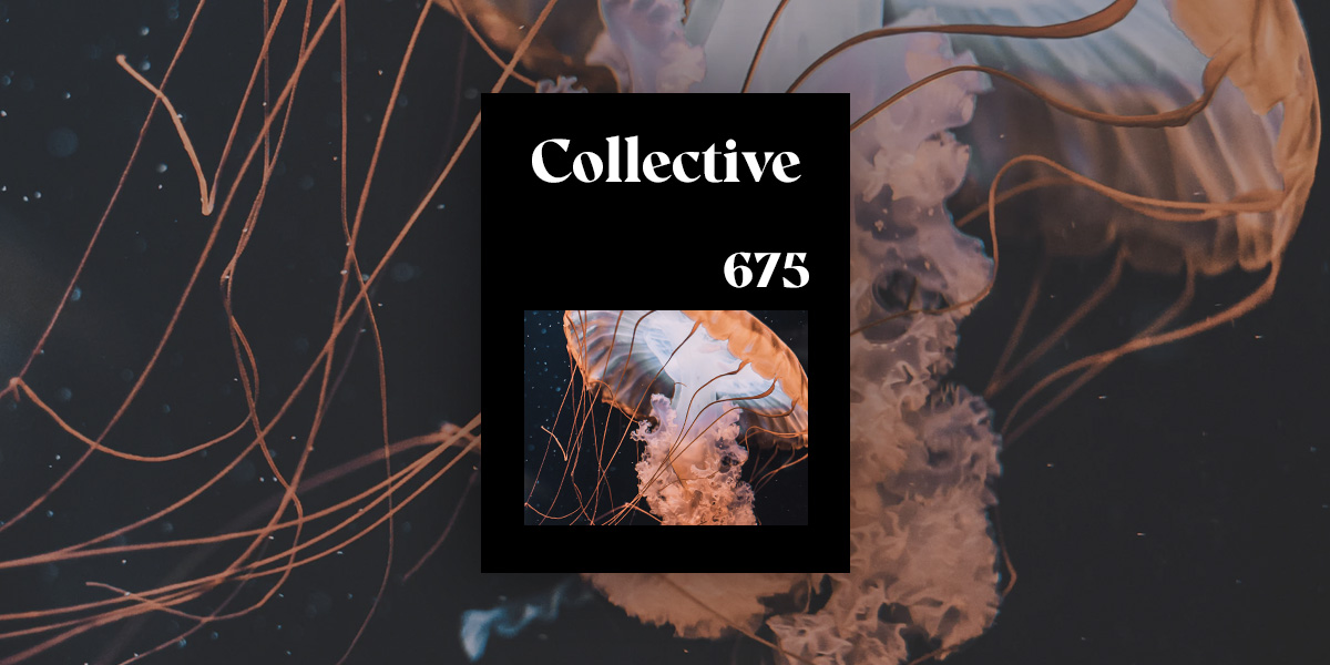 Web Design And Development News Collective 675 Css Accent Color Shared Element Transition Api