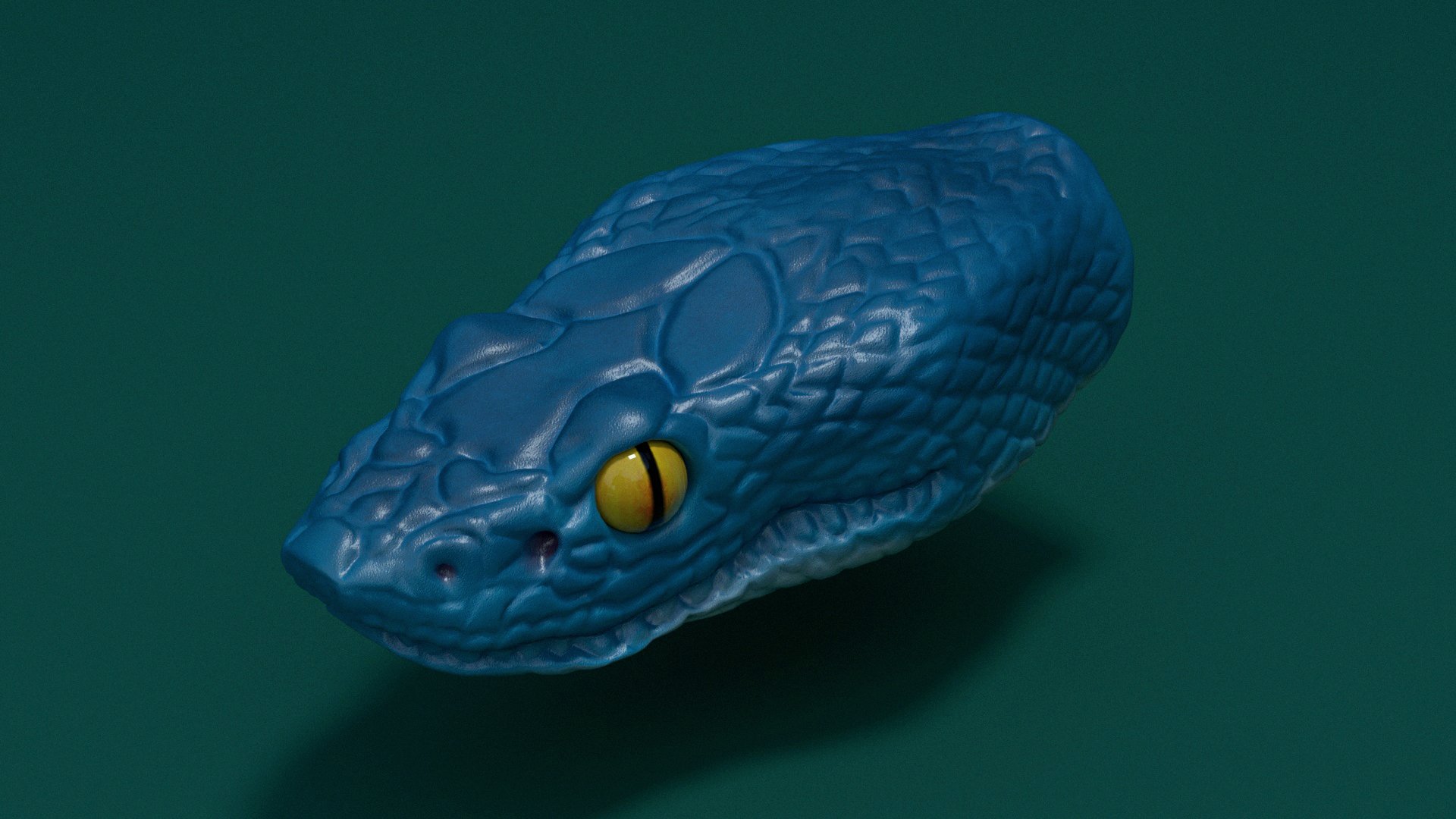 Blue Mamba Snake