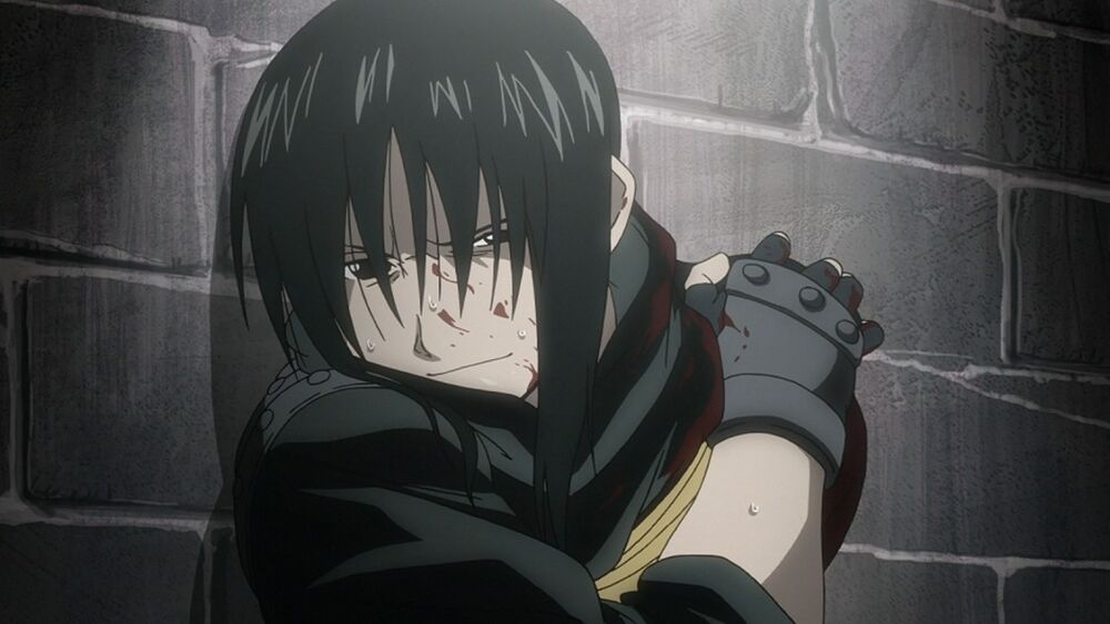 Fullmetal Alchemist Brotherhood Lan Fan Automail