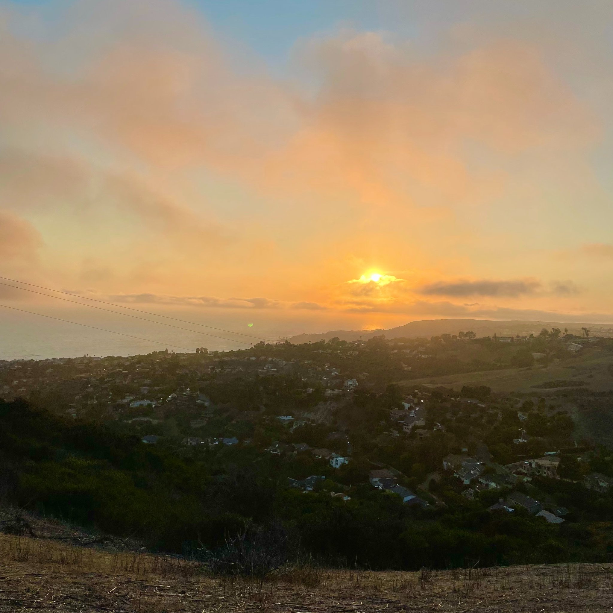 Marisa Brantley 🌴 on Twitter: "Sometimes it's nice to go outside and look at the sky instead of ...