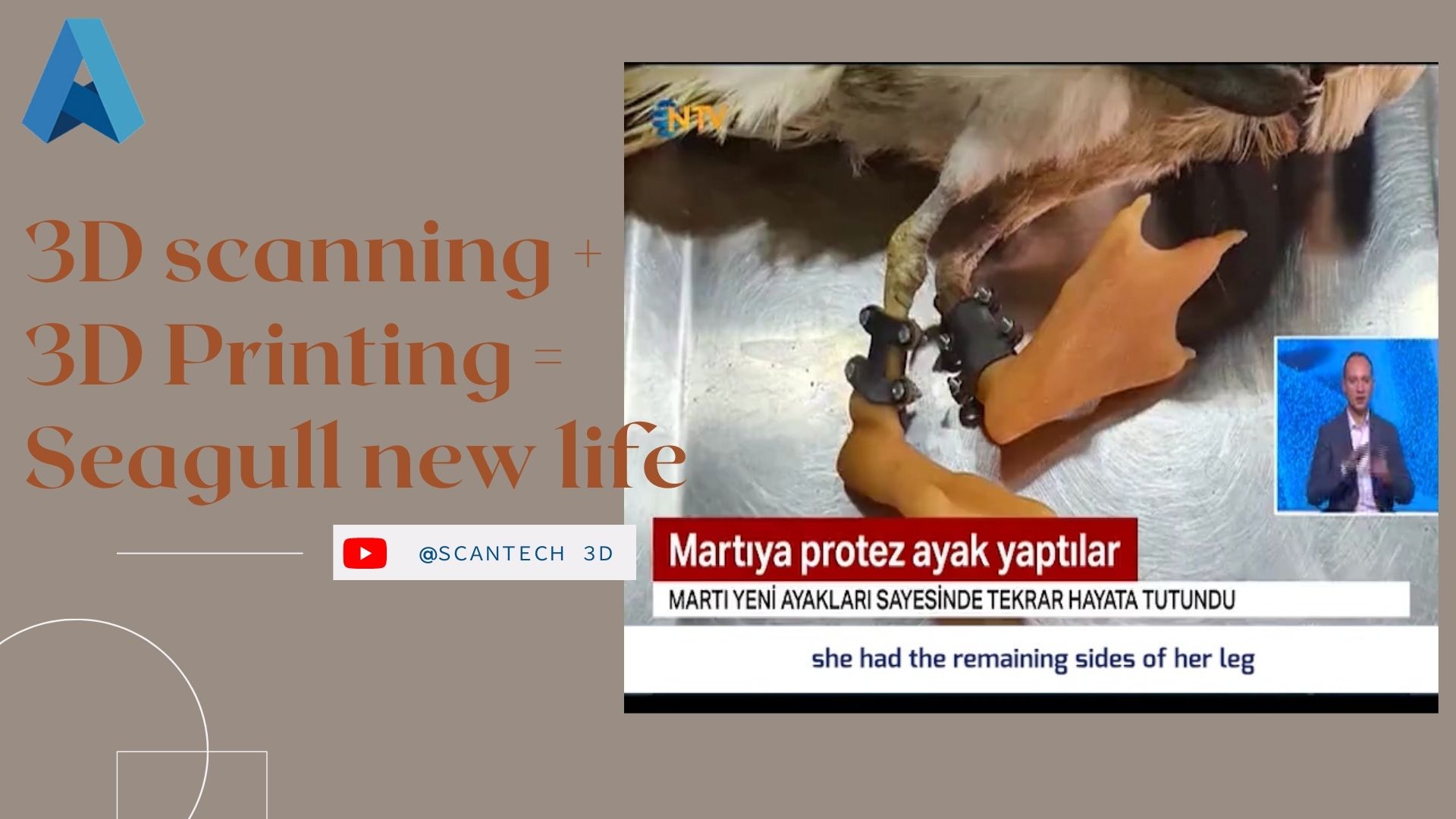 SCANTECH 3D on Twitter: "Let's take a look at how SCANTECH 3D KSCAN-Magic has brought the ...