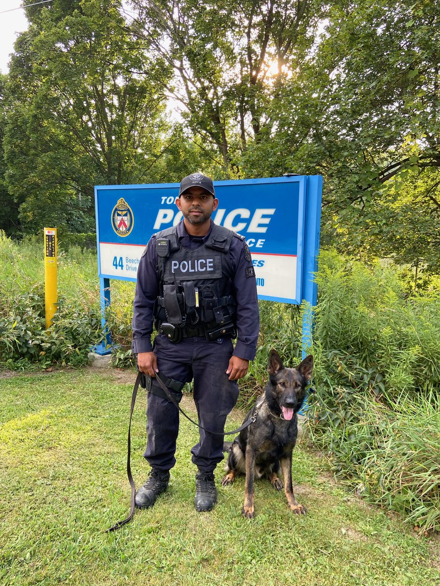 Are Police Dogs Officers