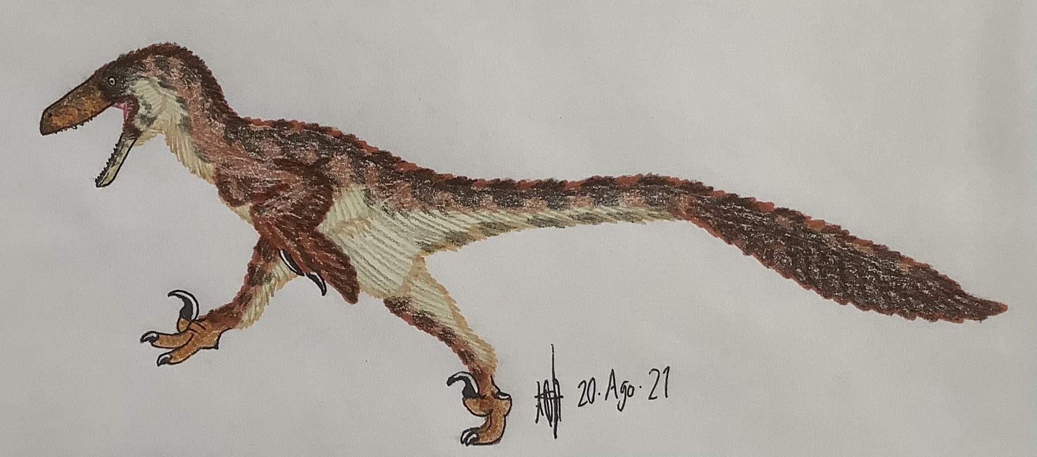 Deinonychus Antirrhopus