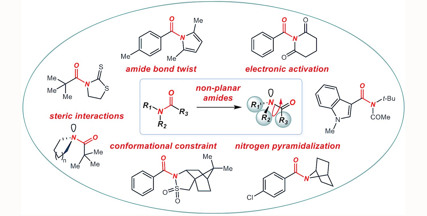 Amide Bond