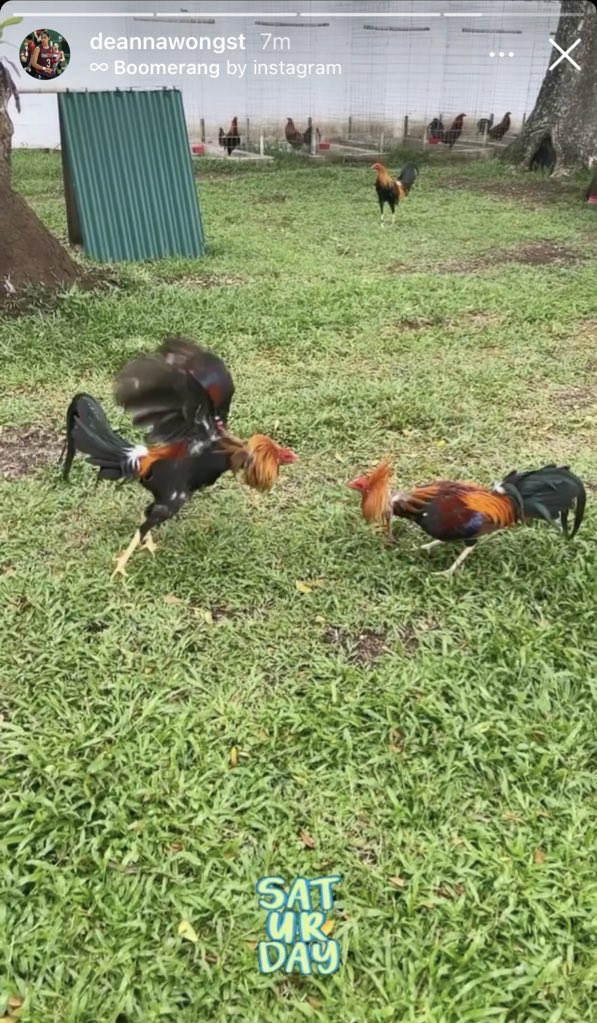 KristinaBaligod (@dwight_urata) | Twitter