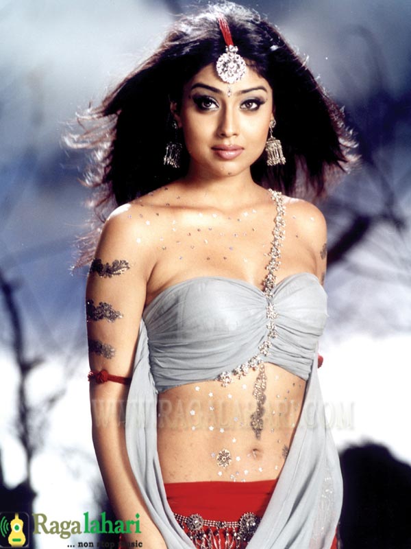 Shriya Hot Navel In Chandra