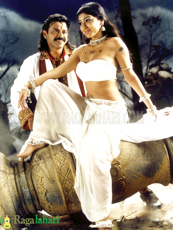 Shriya Hot Navel In Chandra