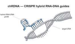 Thread by @Biotech2k1 on Thread Reader App – Thread Reader App