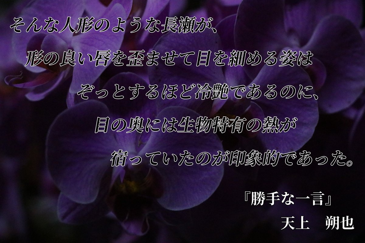 空乃 千尋@小説家wiki・写真・ボカロ作曲 On Twitter 天上 朔也先生 小説家wiki