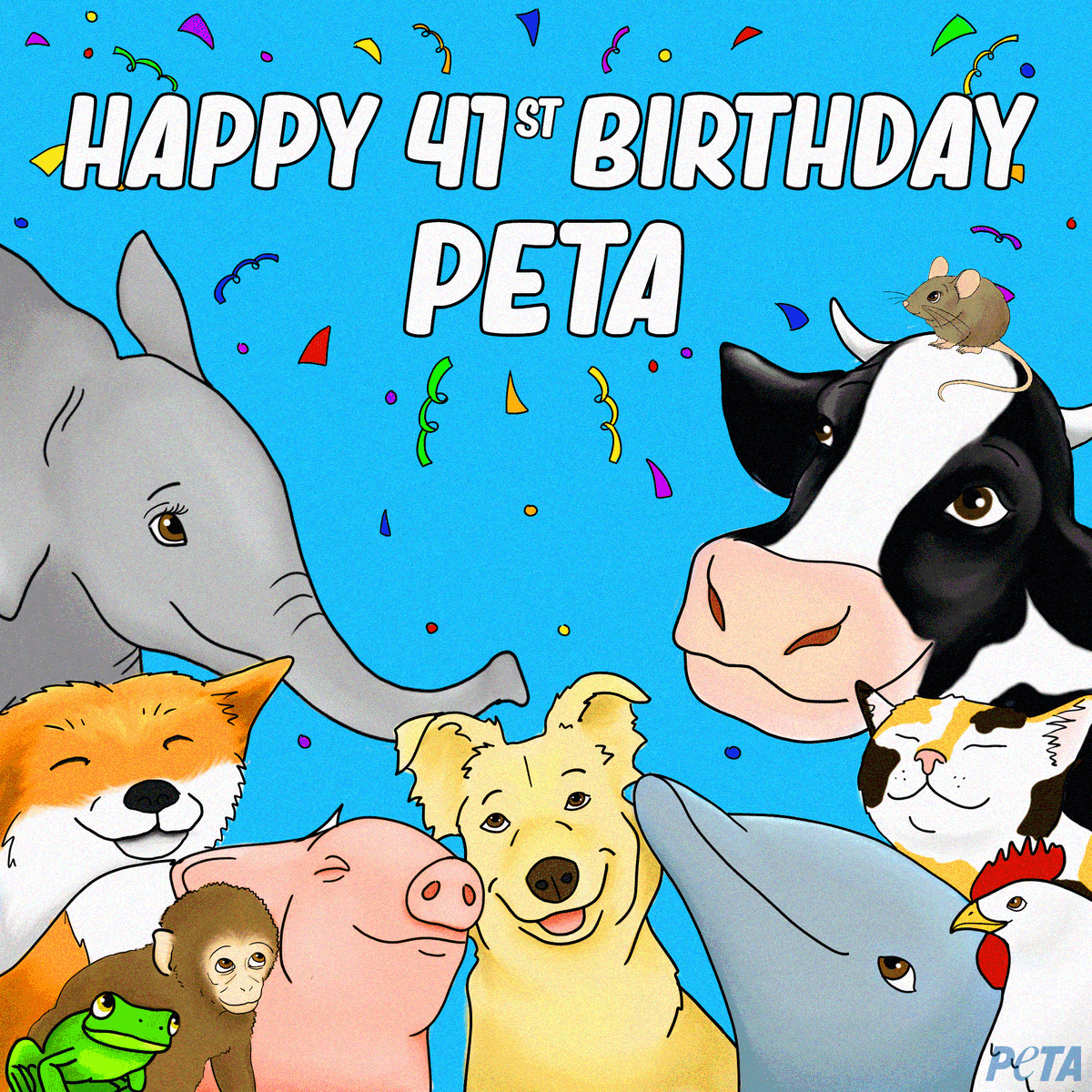 Happy Birthday Peta Memes Happy Birthday Meme Card With Name Edit