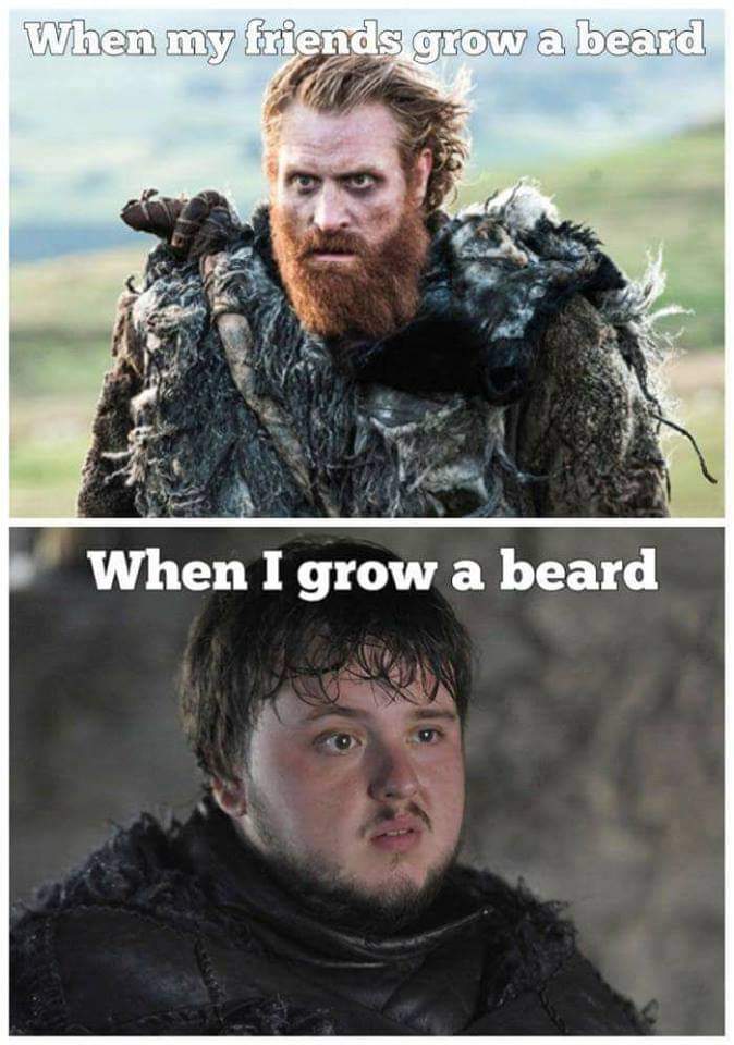 Funny Beard Memes