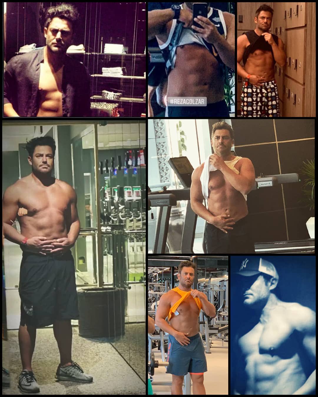 Mohammad Reza Golzar Body Flapping Mechanism In ANSYS Fluent (UDF)