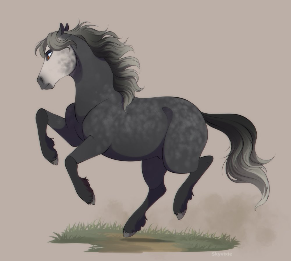 Dapple Grey Percheron Horses