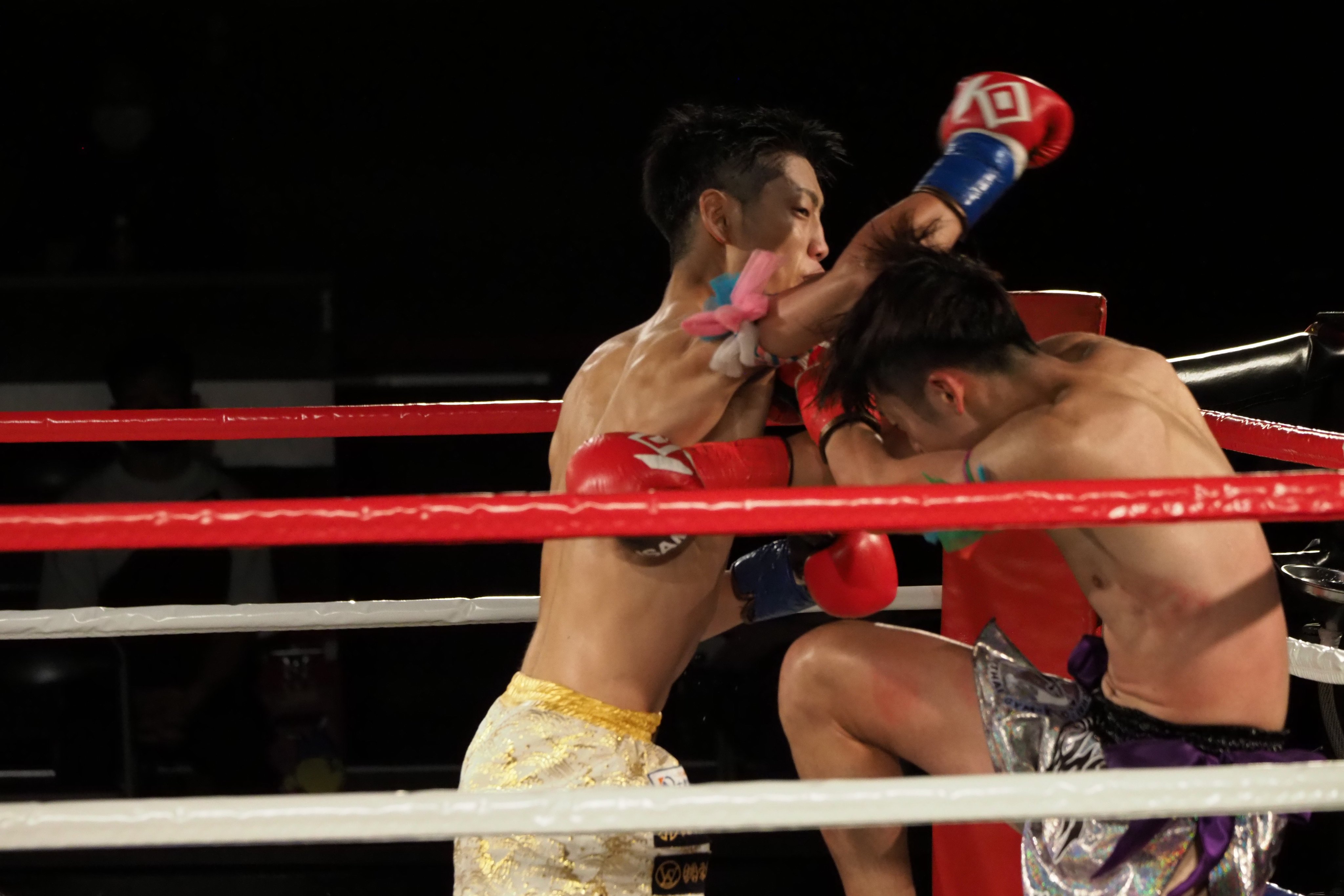 Gigio On Twitter Sacred Force Presents Knock Out Ex Vol 3 ～red Fight