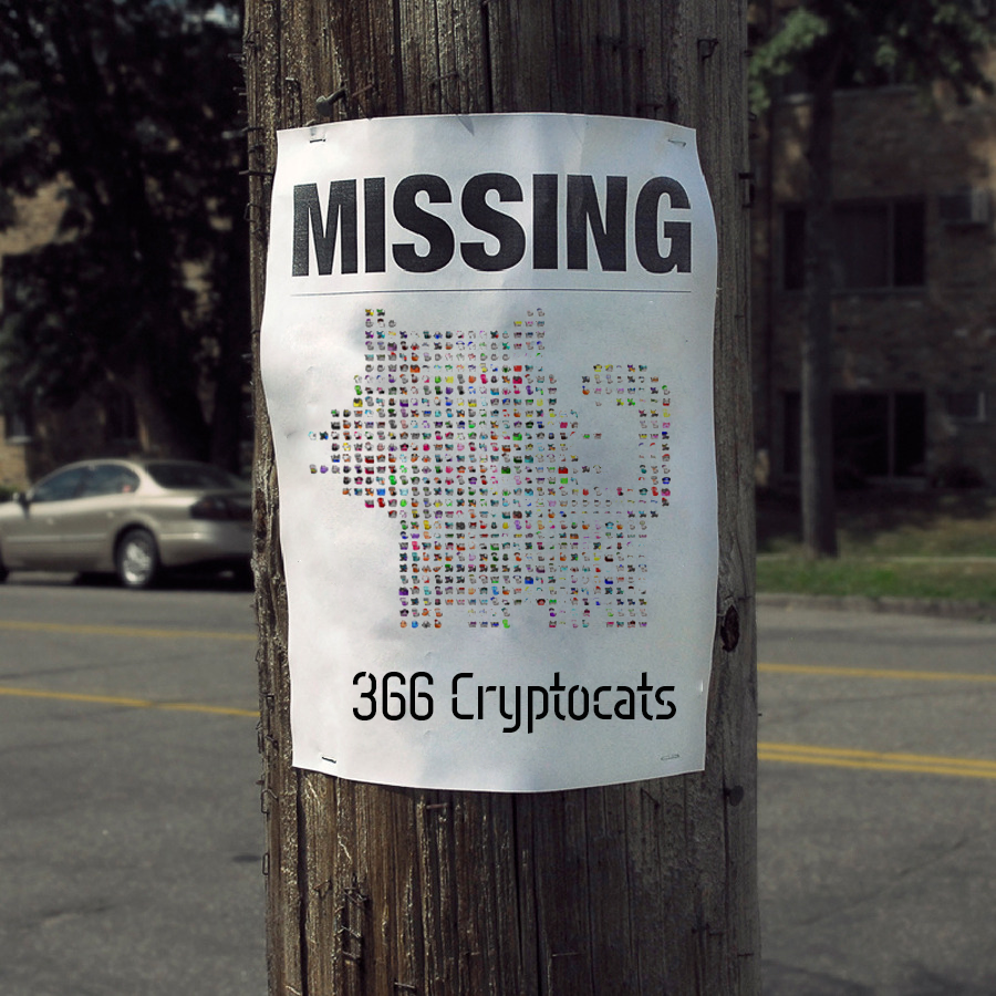 MsCat (@TheCatInsider) | Twitter