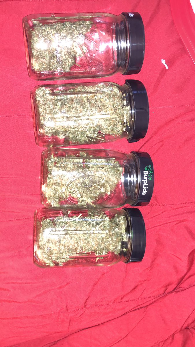 Burplids Burplids Twitter