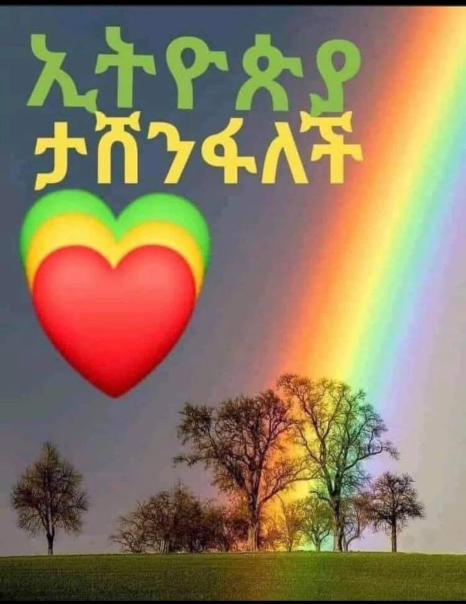 mesfin eyob (@mesfineyob3) | Twitter