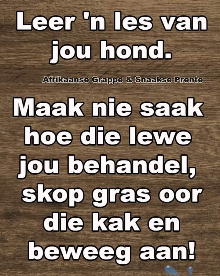 Afrikaanse Boere Quotes 5 June 2017, Johannesburg Strauss & Co