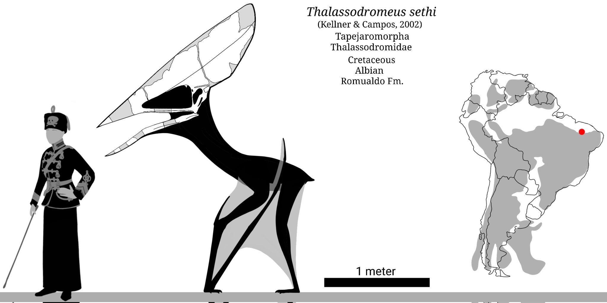 Thalassodromeus