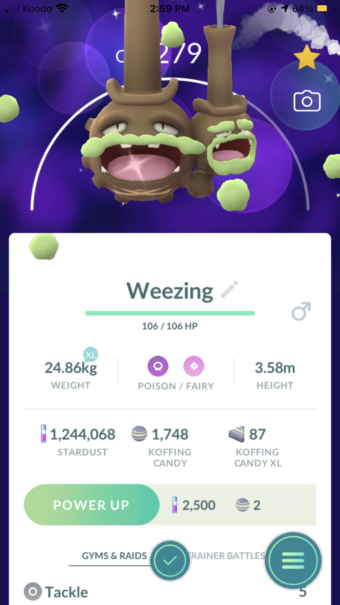Shiny Weezing