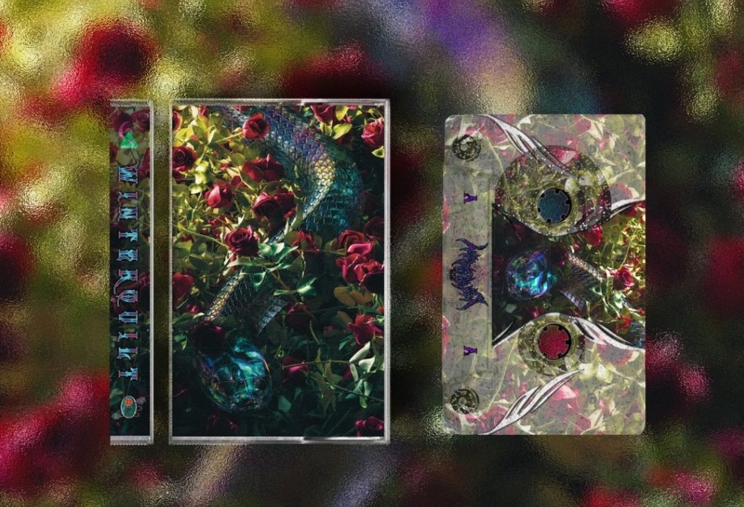 J. Bernardo Rebelo (@jbernardorebelo) | Twitter