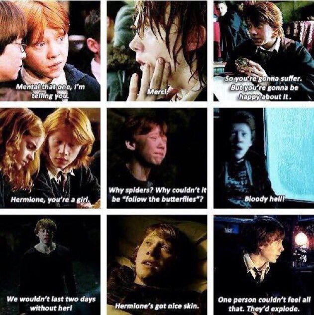 Ron Weasley Quotes Spiders